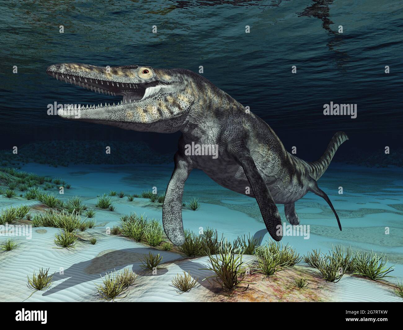 Tylosaurus hi-res stock photography and images - Alamy