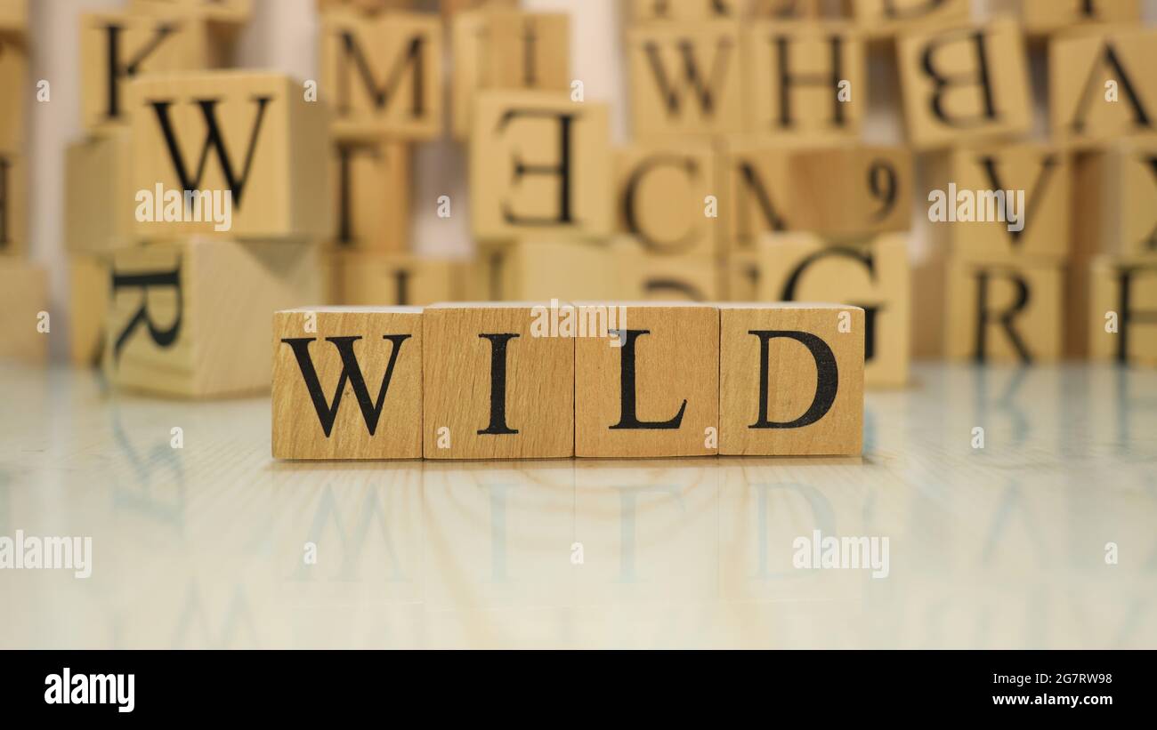 The word wild was created from wooden letter cubes. Wildlife and words ...