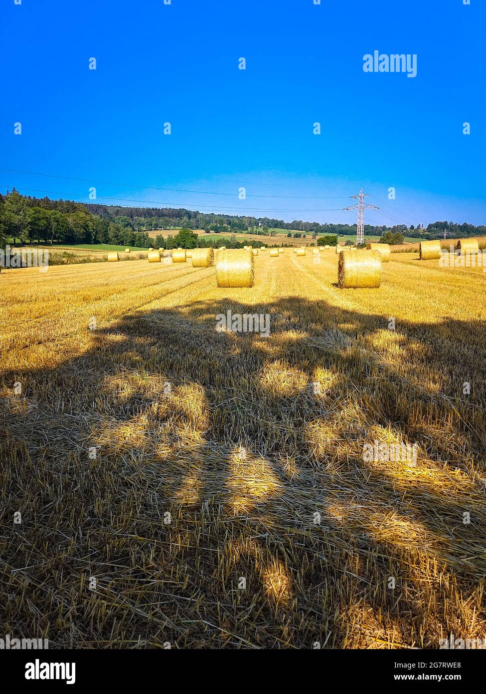 Yellow hay bales hi-res stock photography and images - Alamy