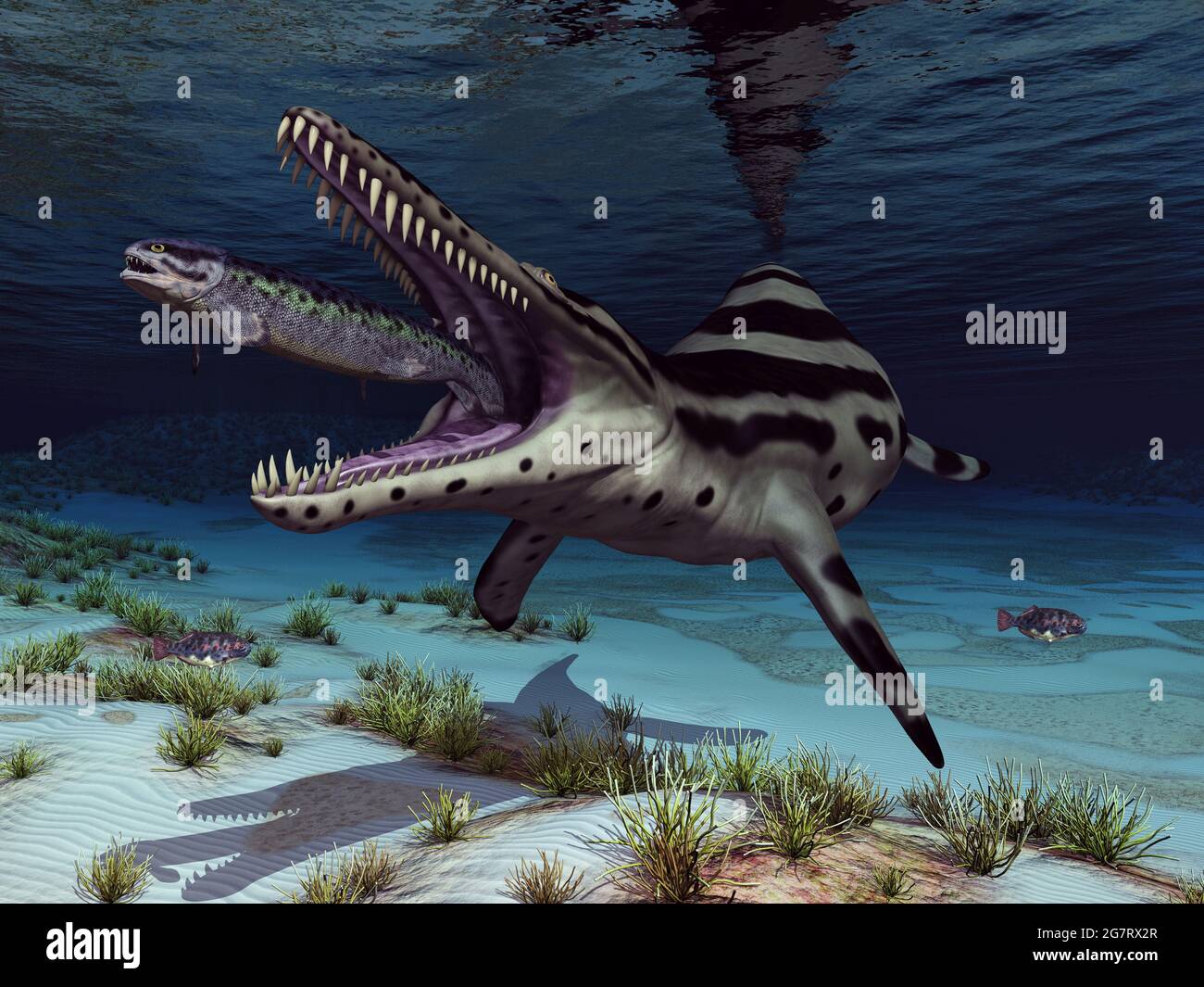 Kronosaurus attacks Rhizodus Stock Photo - Alamy
