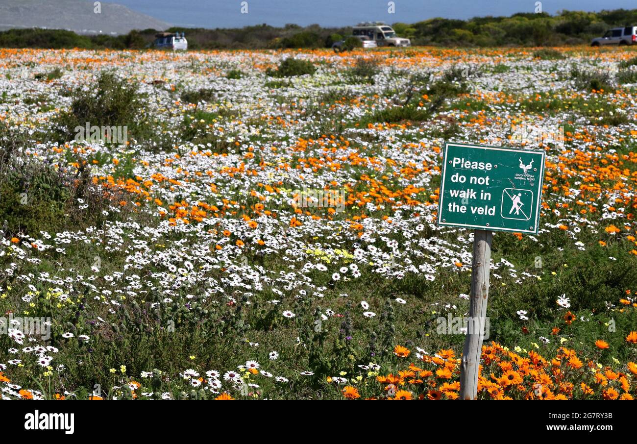 Do not walk in the veld sign which is located in the Postberg section ...