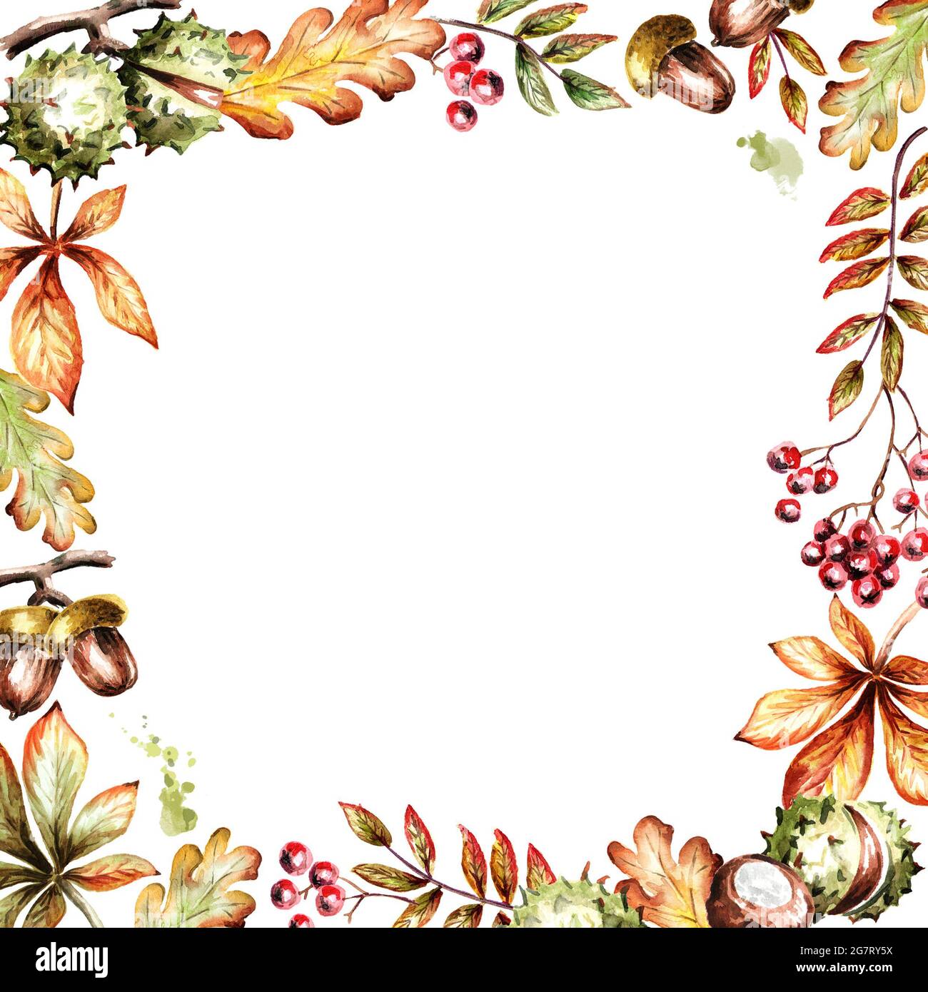 Autumn leaves square background. Watercolor handpainted illustration ...