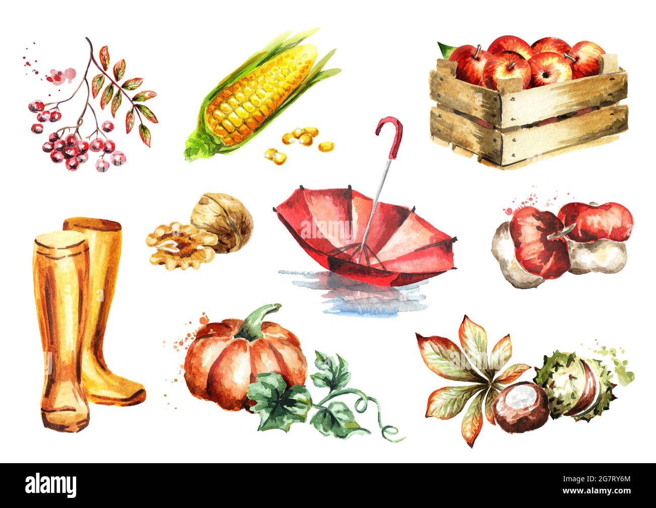 Autumn set. Watercolor hand-drawn illustration Stock Photo - Alamy