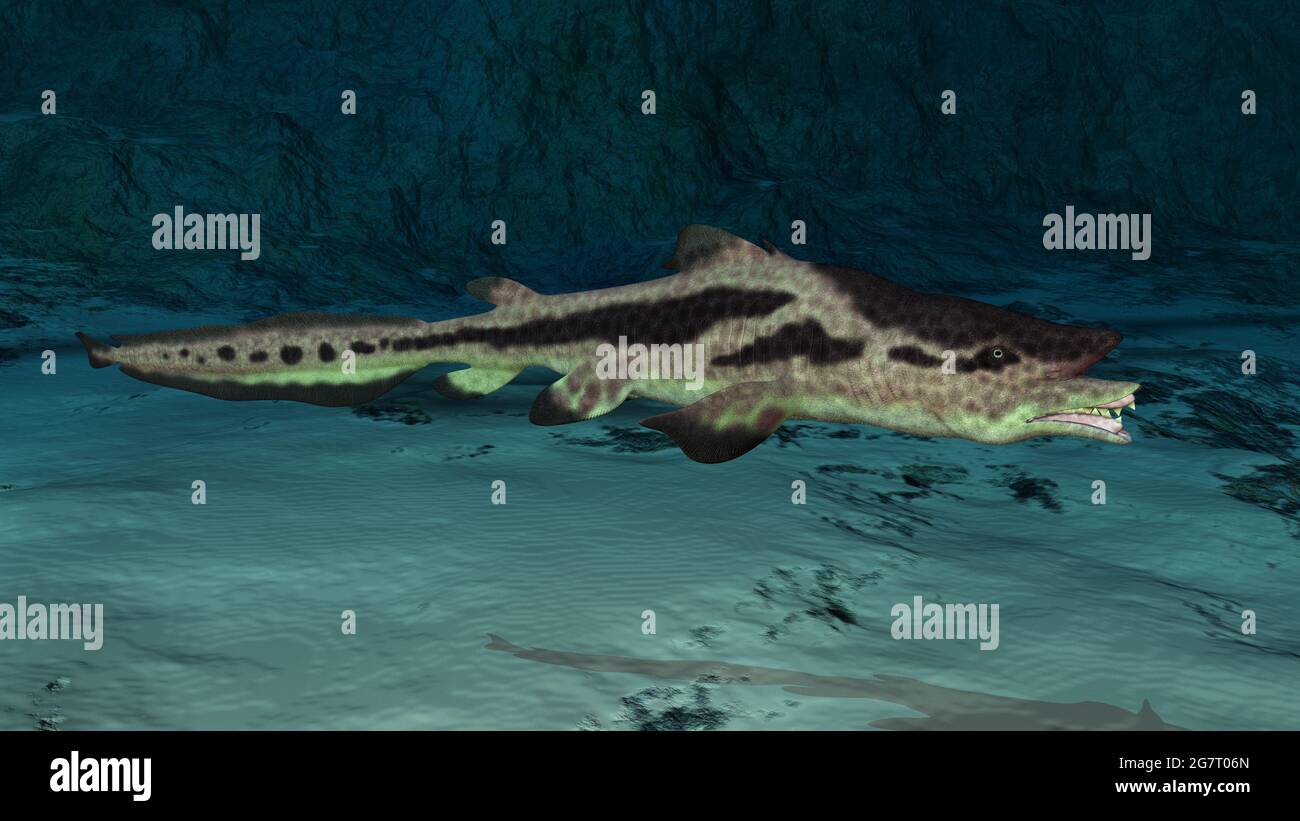 Edestus shark hi-res stock photography and images - Alamy