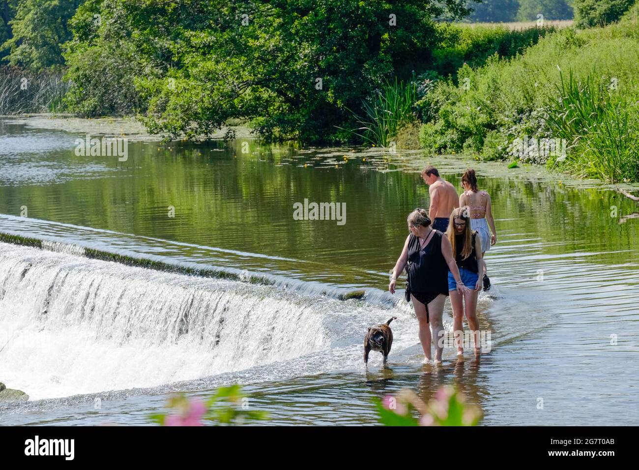 Warleigh weir hi-res stock photography and images - Alamy