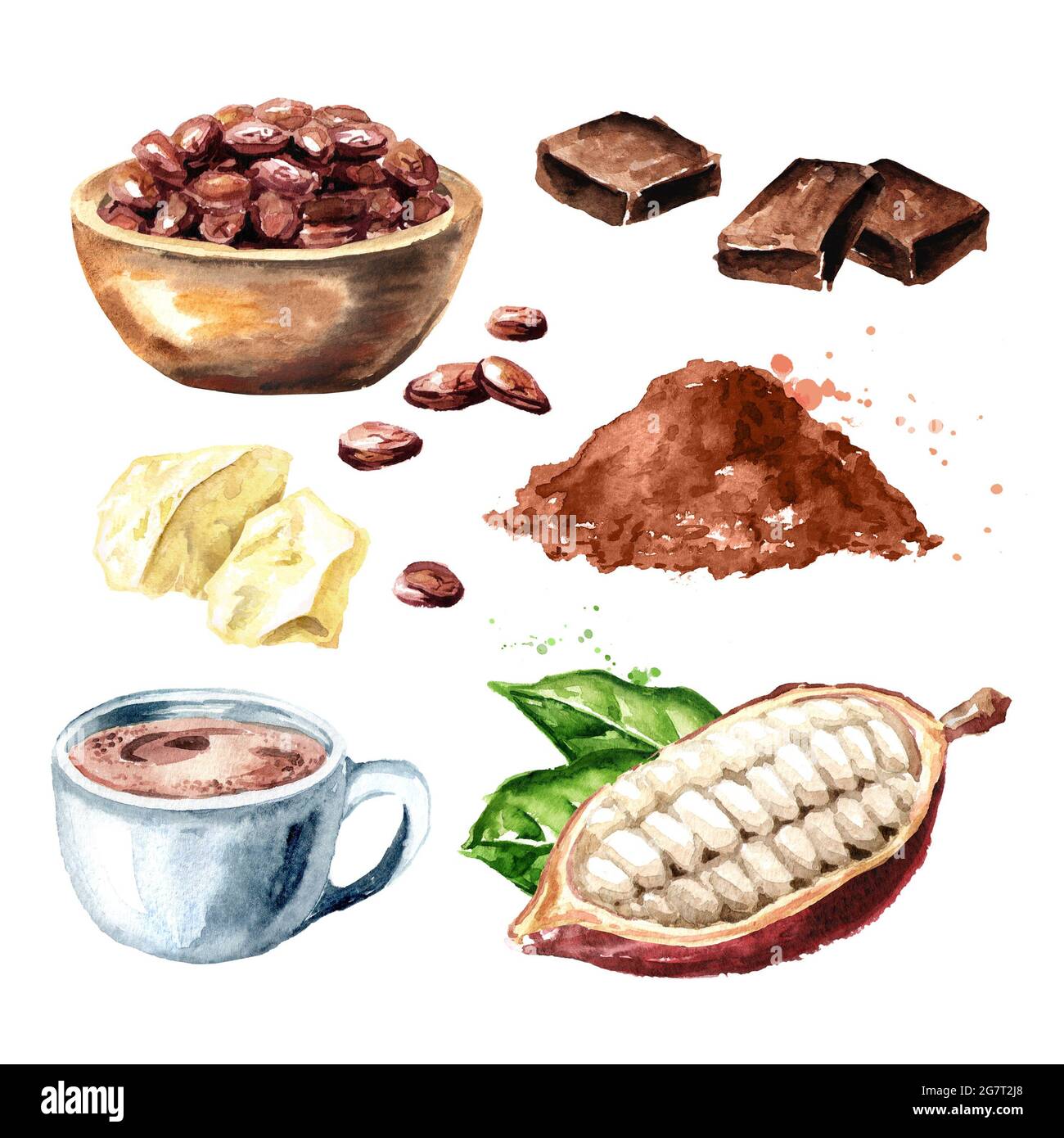 Cocoa products set. Beans, pod, chocolate, butter, hot cocoa drink ...
