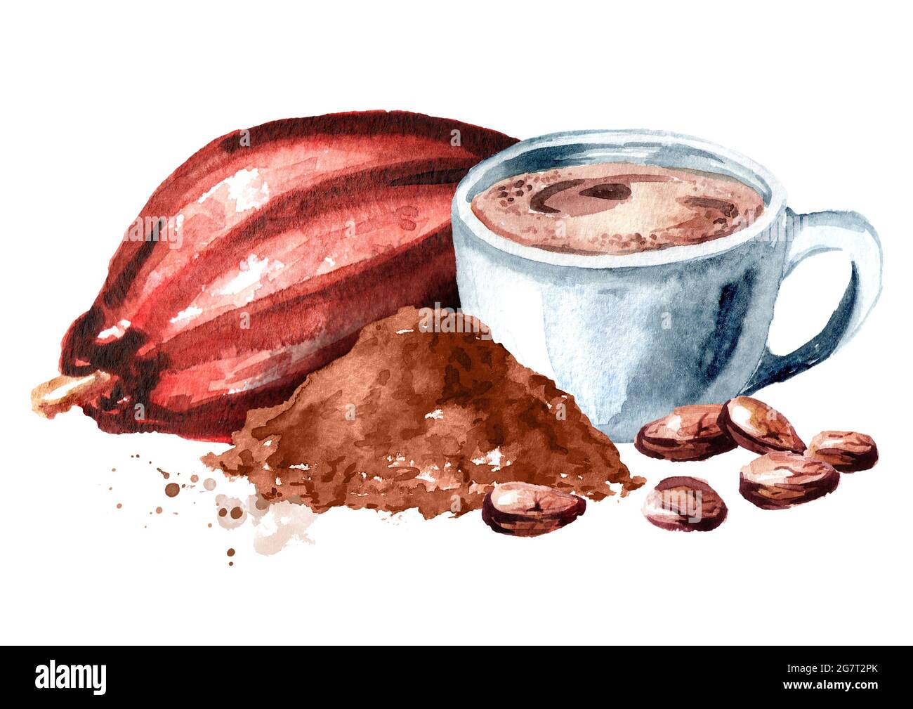 Natural cocoa drink with cocoa pod, powder and beans. Watercolor hand ...