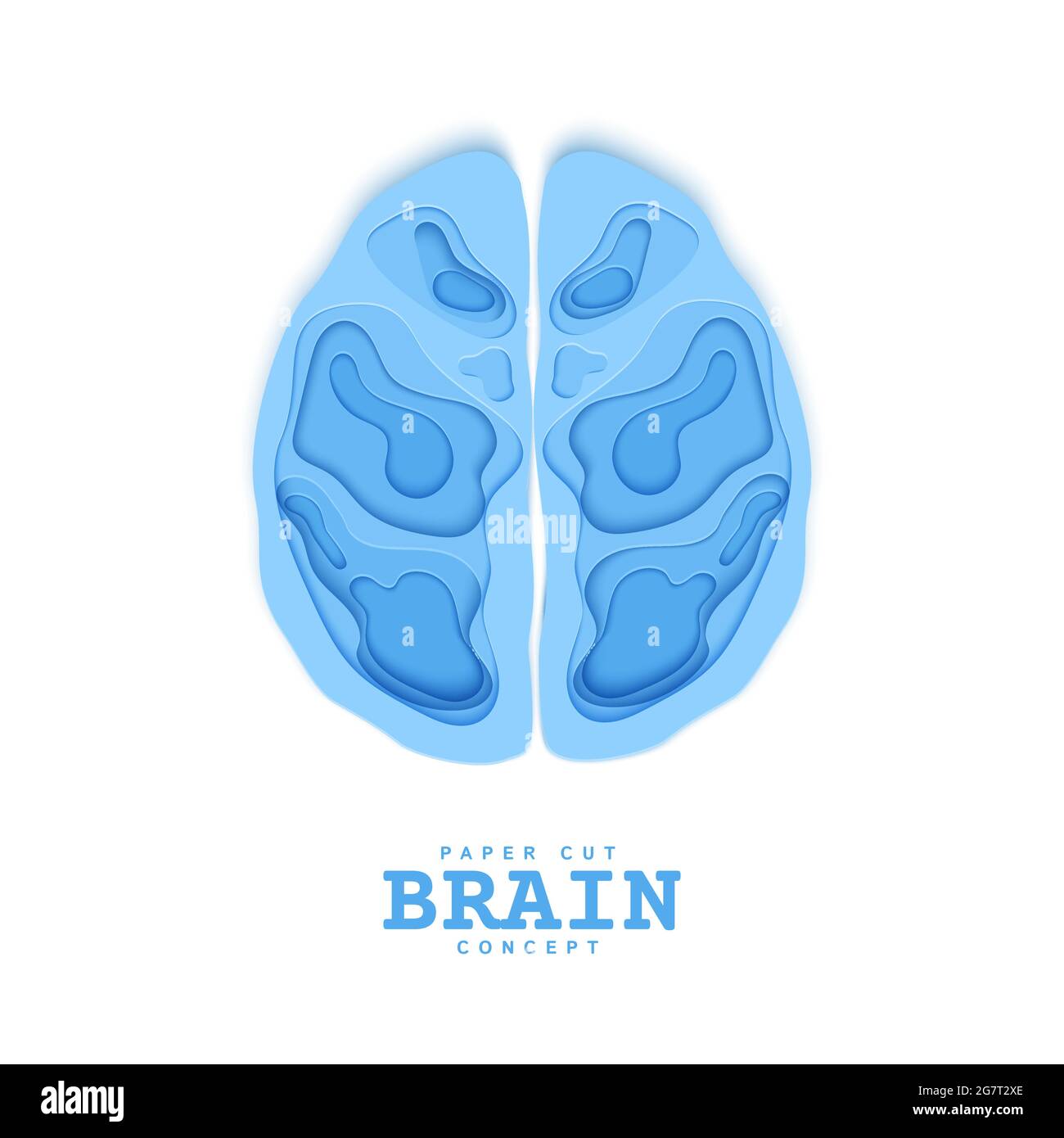 Section of the human brain in papercut style. Blue cardboard cutting ...