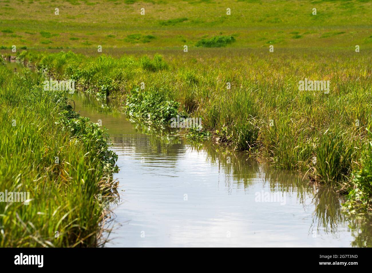 Wet gulch hi-res stock photography and images - Alamy