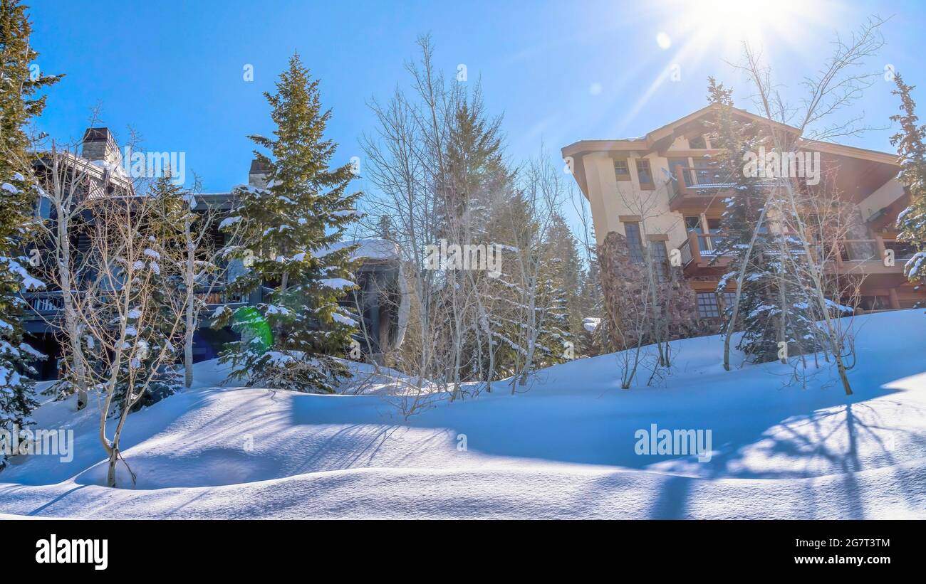 Sunlight beaming down hi-res stock photography and images - Alamy