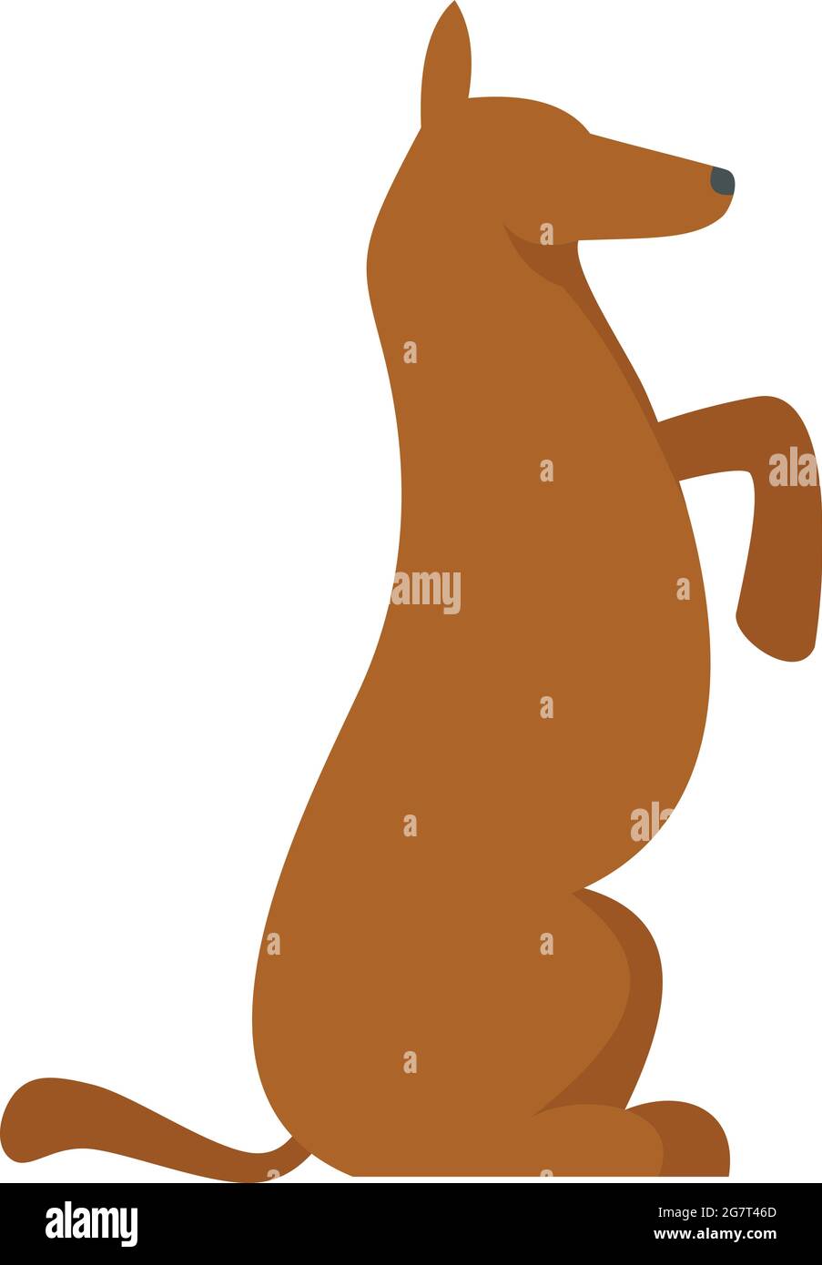 Dog training icon. Flat illustration of dog training vector icon ...