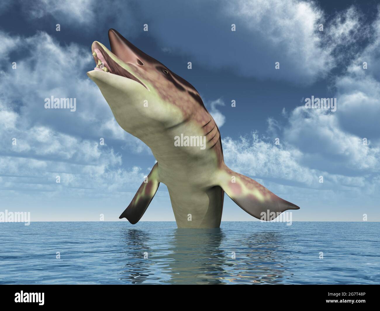 Prehistoric shark Edestus Stock Photo - Alamy