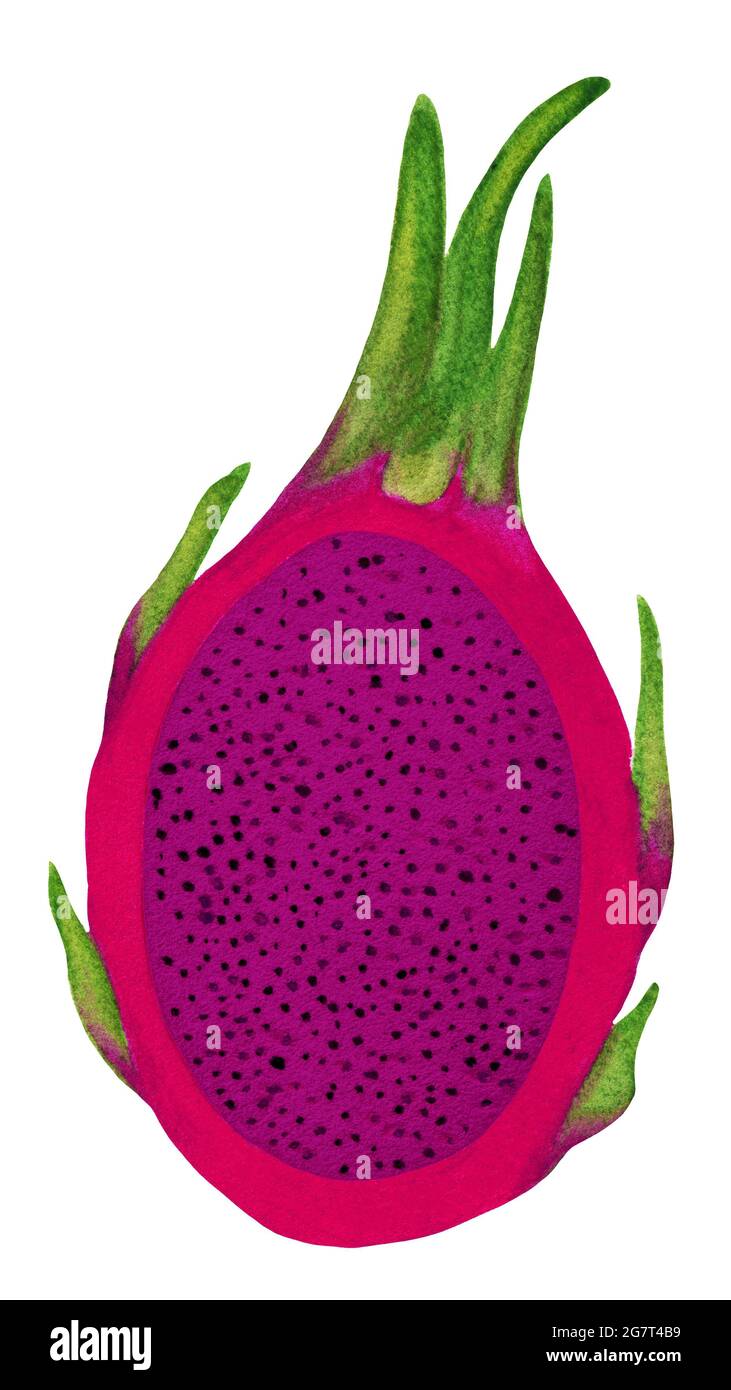 Red dragonfruit with purple pulp isolated Stock Photo - Alamy