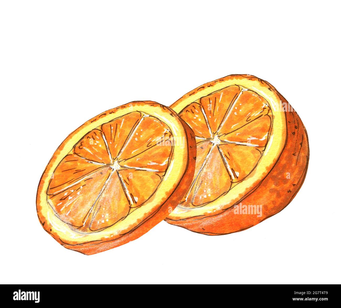 Watercolor orange slices isolated, easy to cut out Stock Photo - Alamy