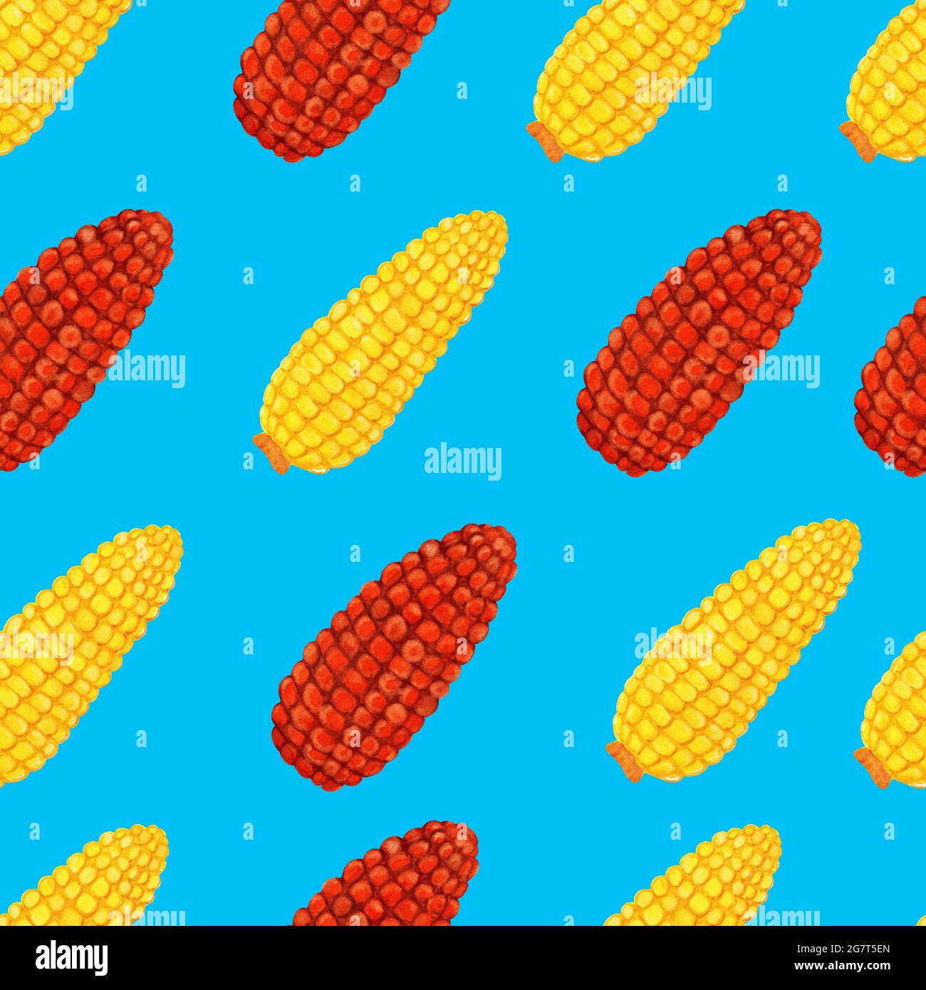 Maiz plant drawing hi-res stock photography and images - Alamy