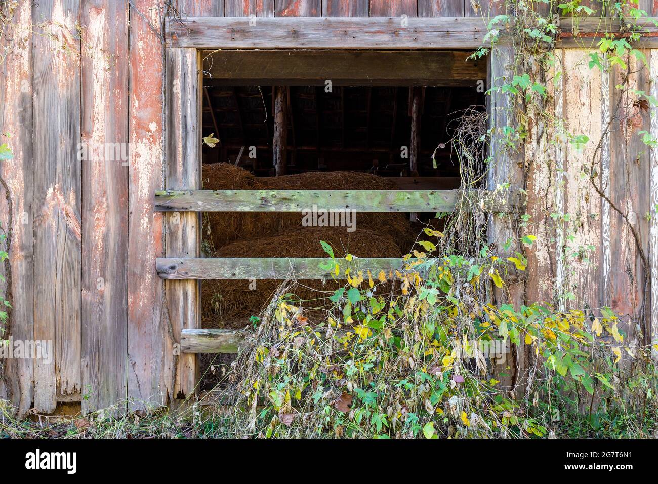 Rustic barn wooden wall with stable door background Stock Photo - Alamy