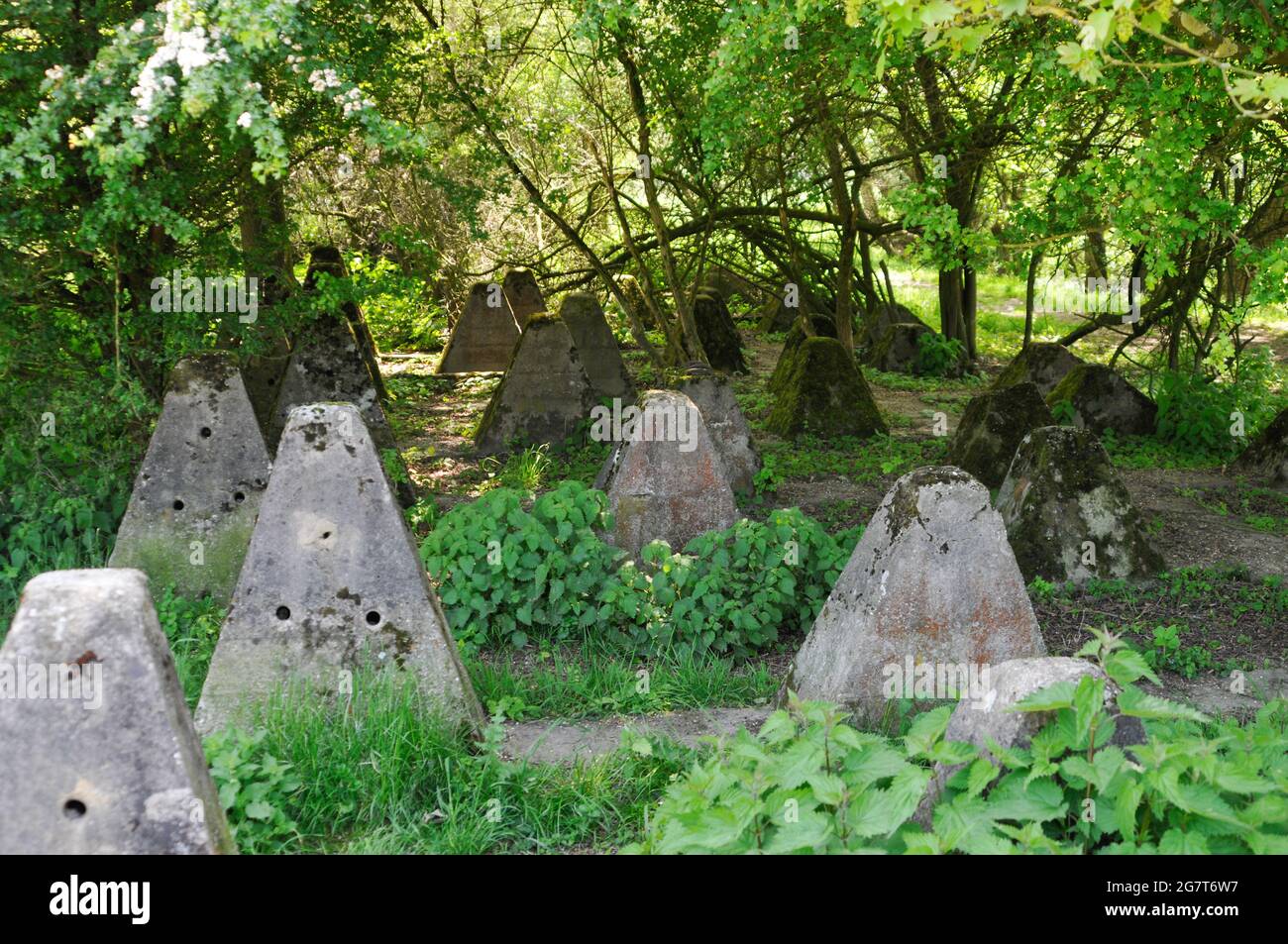Group of symmetric pyramid-shaped rocks in the beautiful Eifel National ...