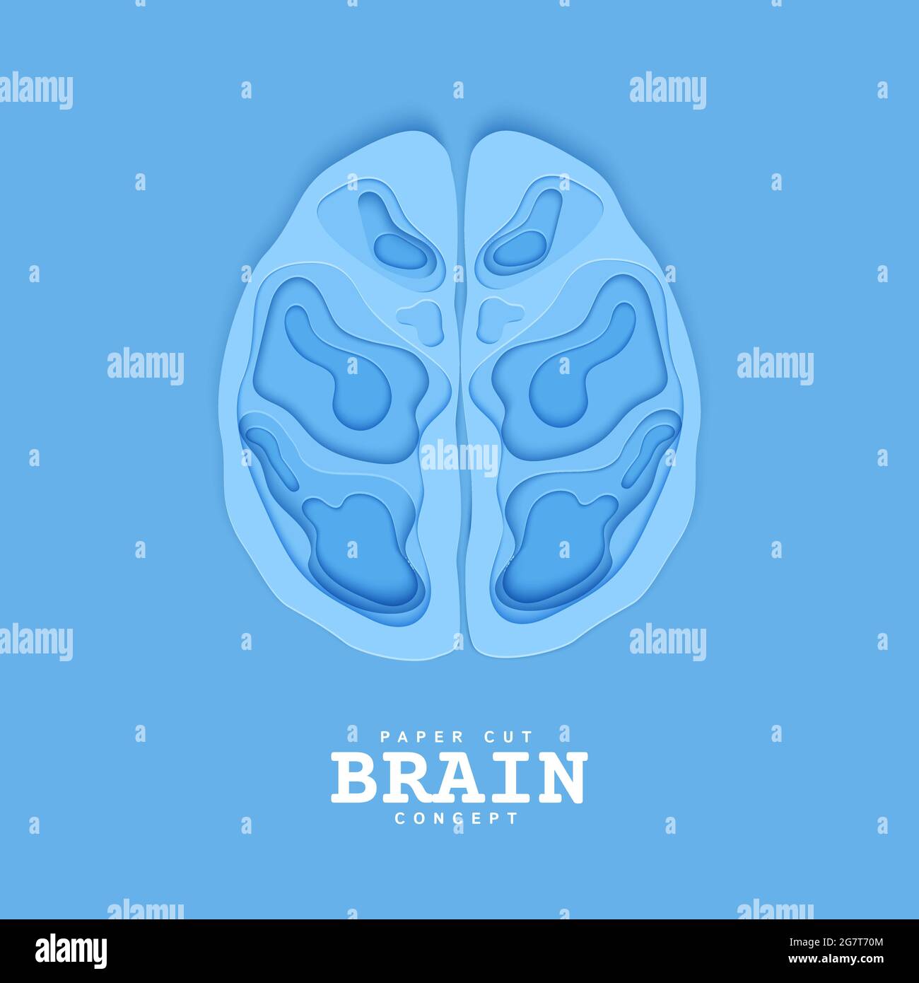 Section of the human brain in papercut style. Blue cardboard cutting ...