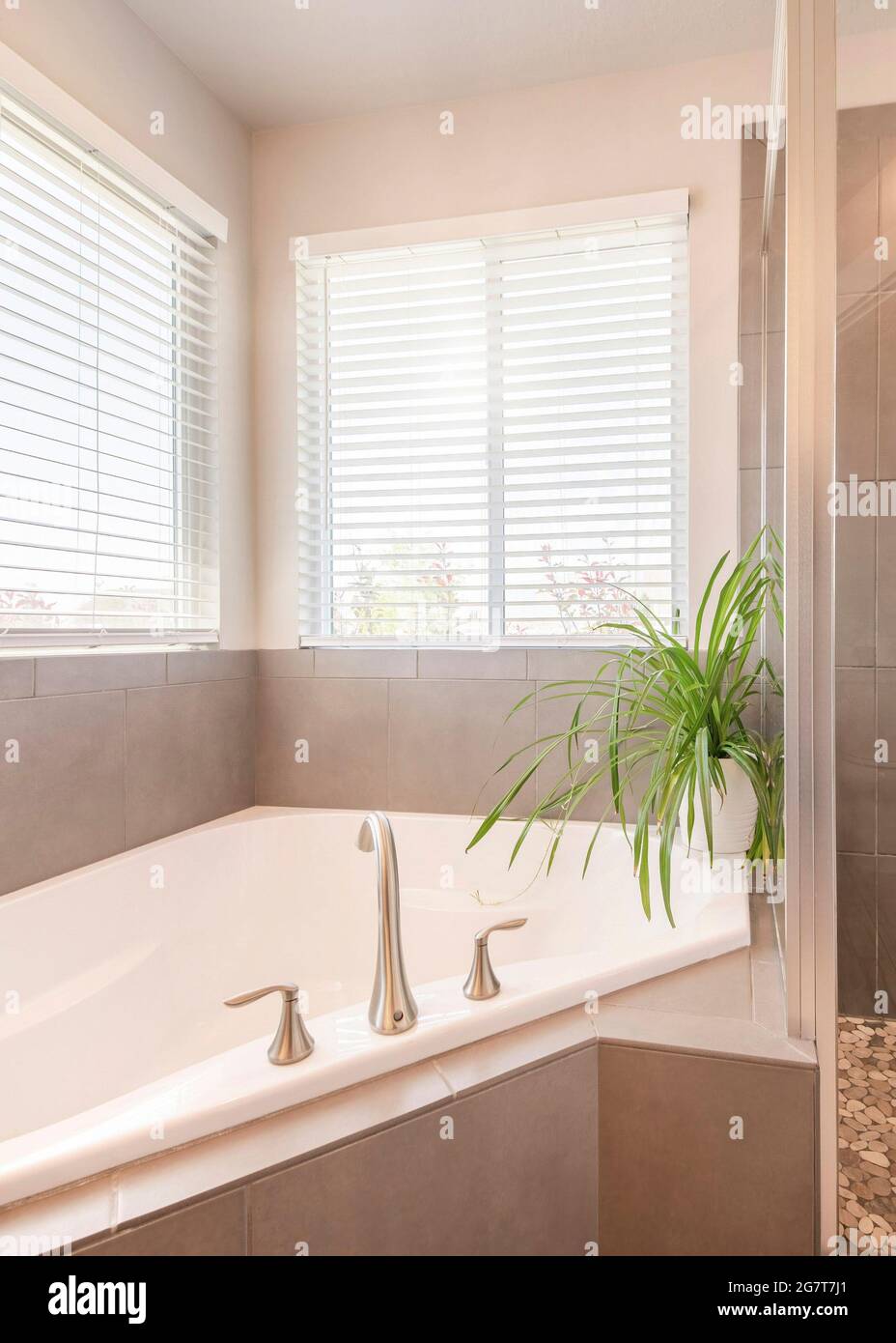 Vertical Interior of a bathroom with windows, bathtub and shower stall ...