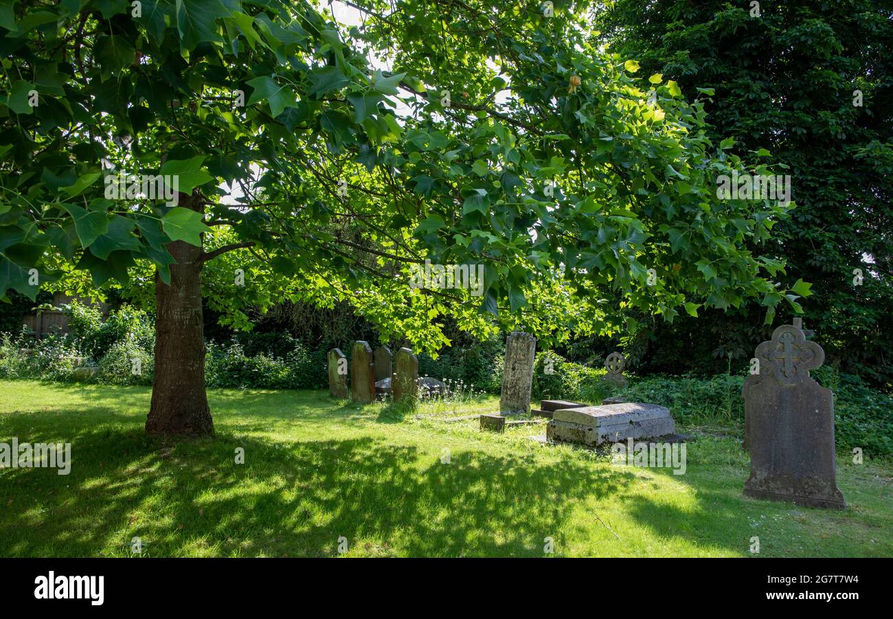 The ancient graveyard hi-res stock photography and images - Alamy