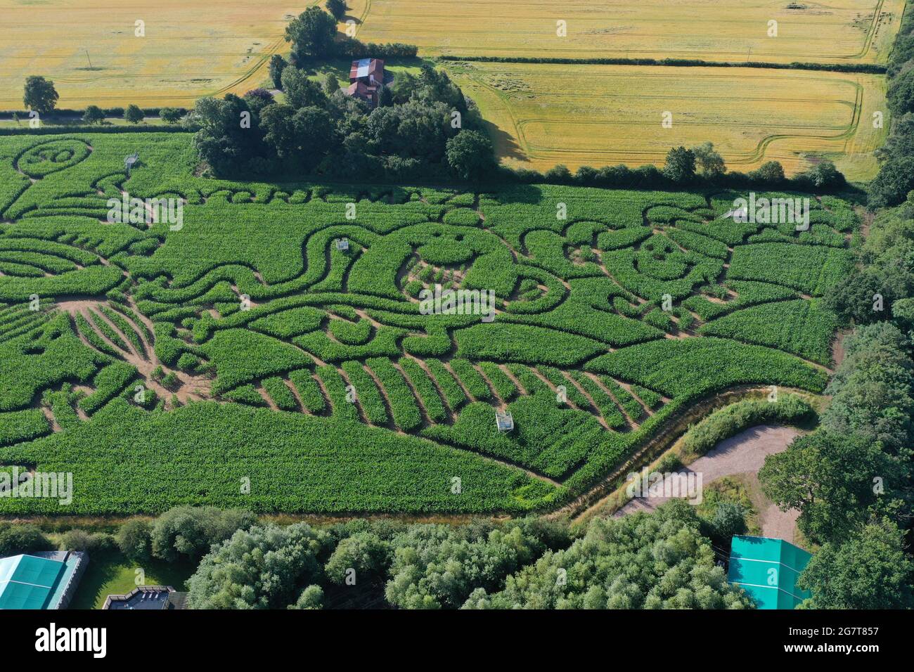 The 2021 York Maze in York, North Yorkshire, created from over one ...