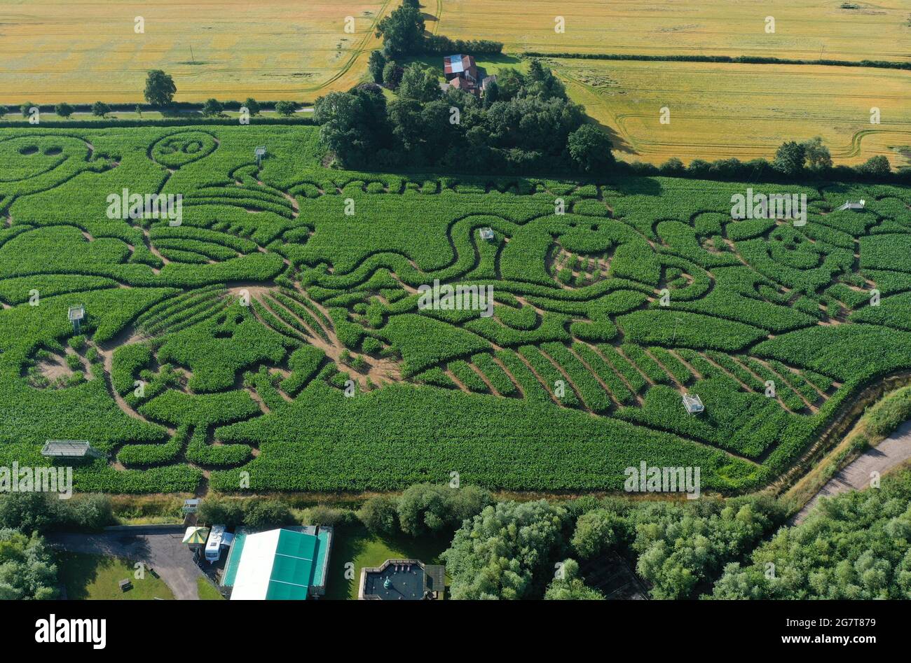 The 2021 York Maze in York, North Yorkshire, created from over one ...
