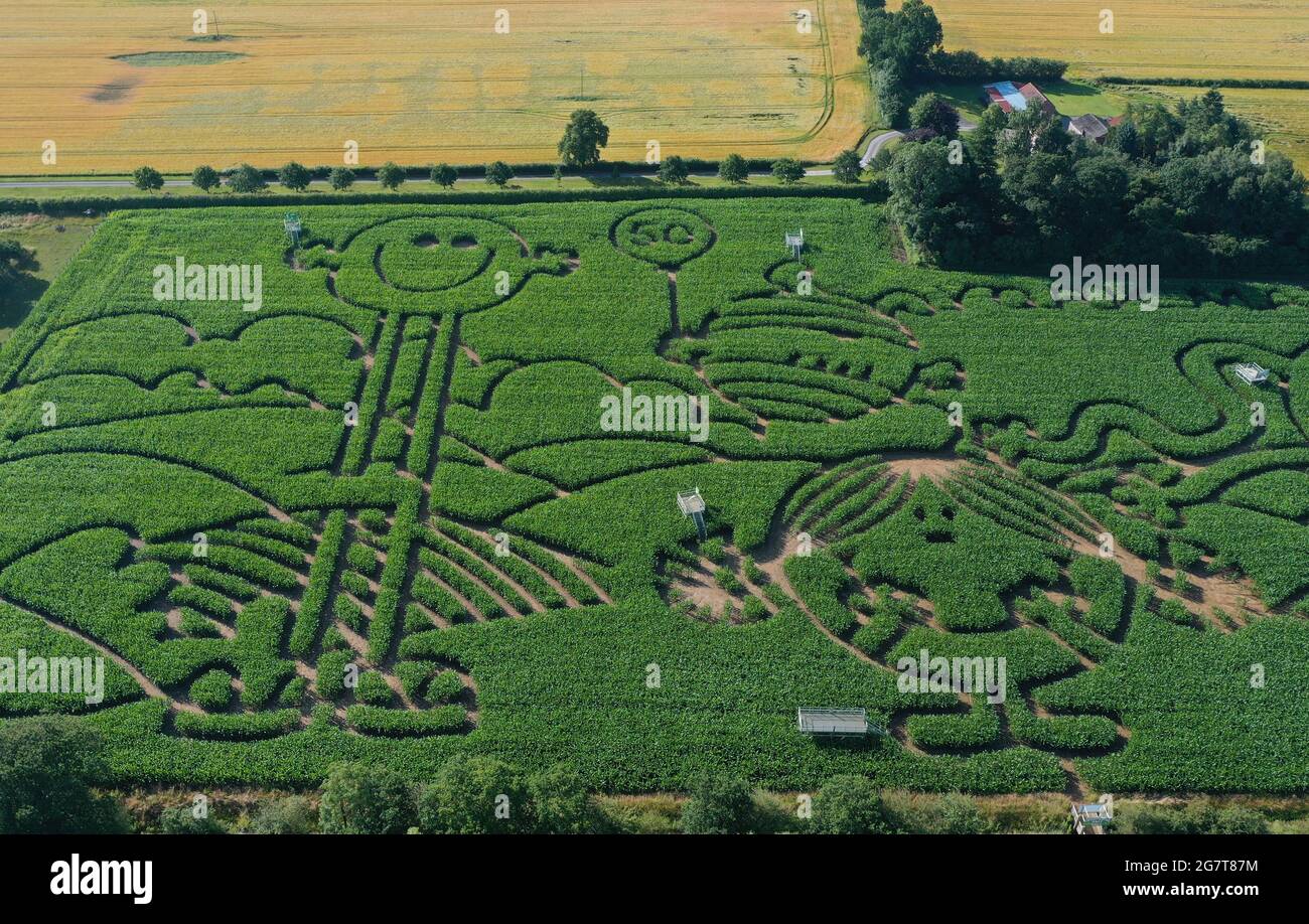 The 2021 York Maze in York, North Yorkshire, created from over one ...