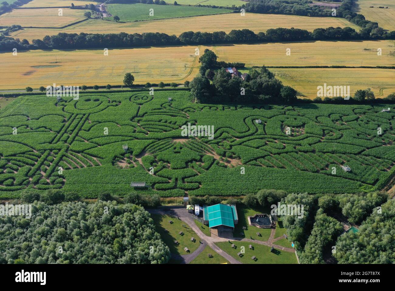 The 2021 York Maze in York, North Yorkshire, created from over one ...