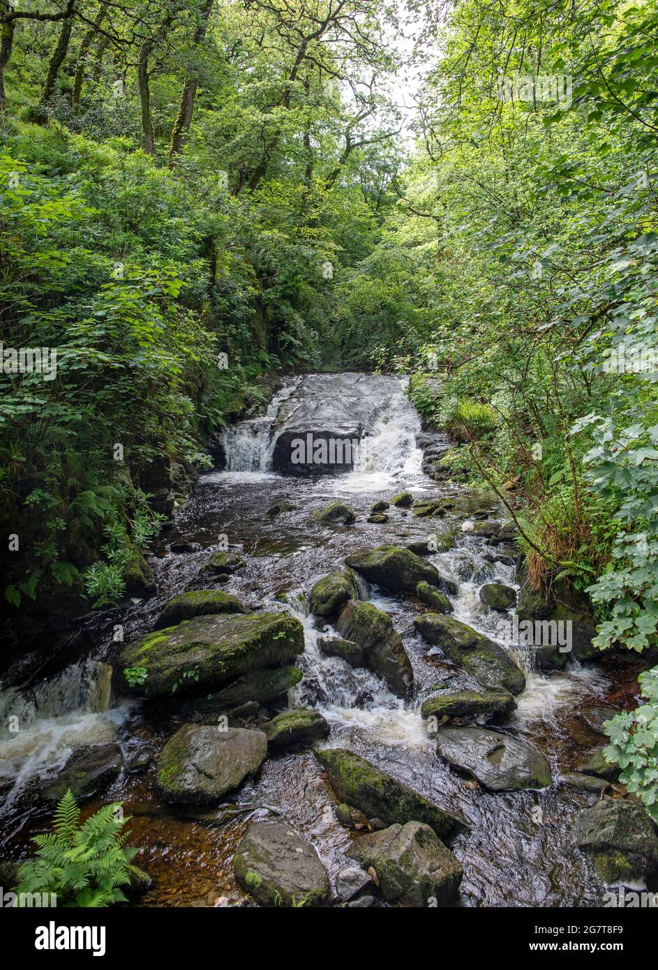 Devon Rivers High Resolution Stock Photography and Images - Alamy