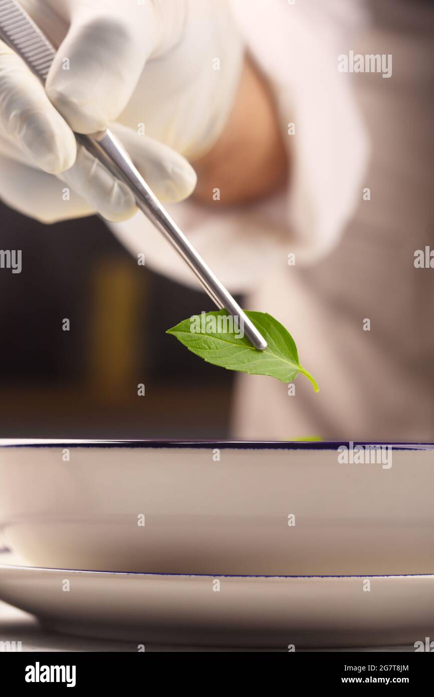 Chef plating menu hi-res stock photography and images - Alamy