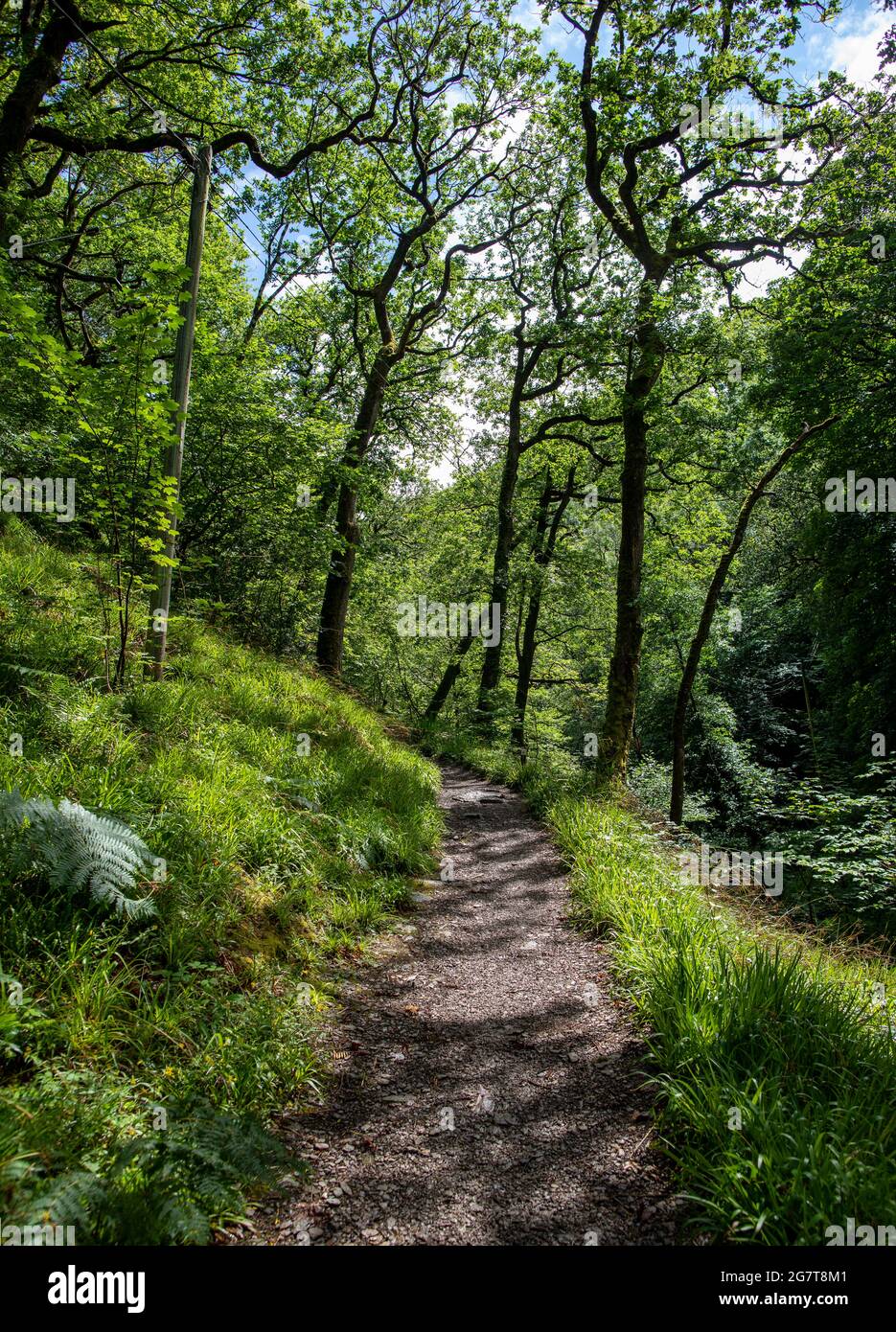 Devon rivers hi-res stock photography and images - Alamy