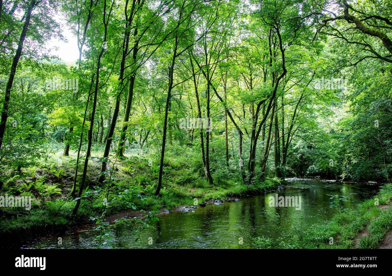 Watersmeet Devon UK Stock Photo - Alamy