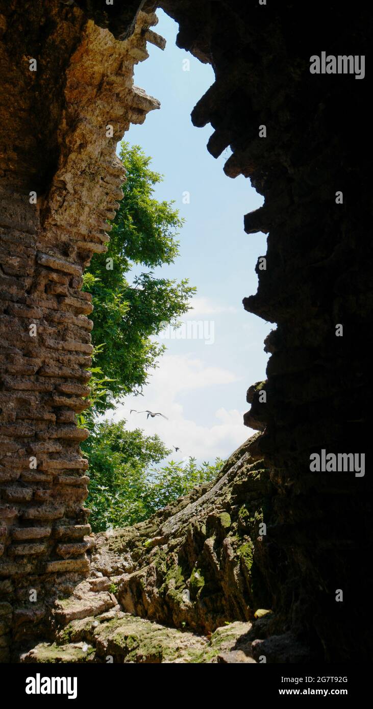 Vertical shot of the ancient building in the city of Srinagar, the ...
