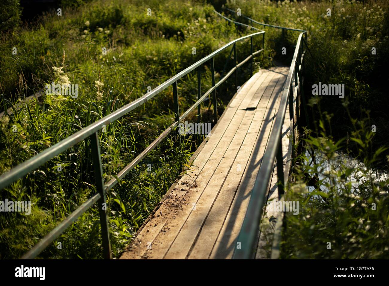 Small bridge over the river. Wooden platform across the swamp. Old ...