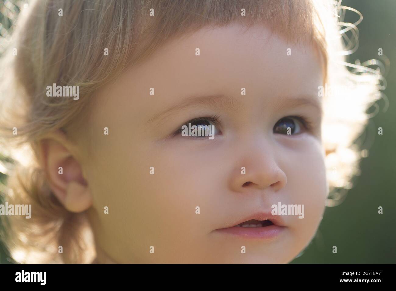 Portrait of a small blond boy, closeup. Cute kids cropped face ...
