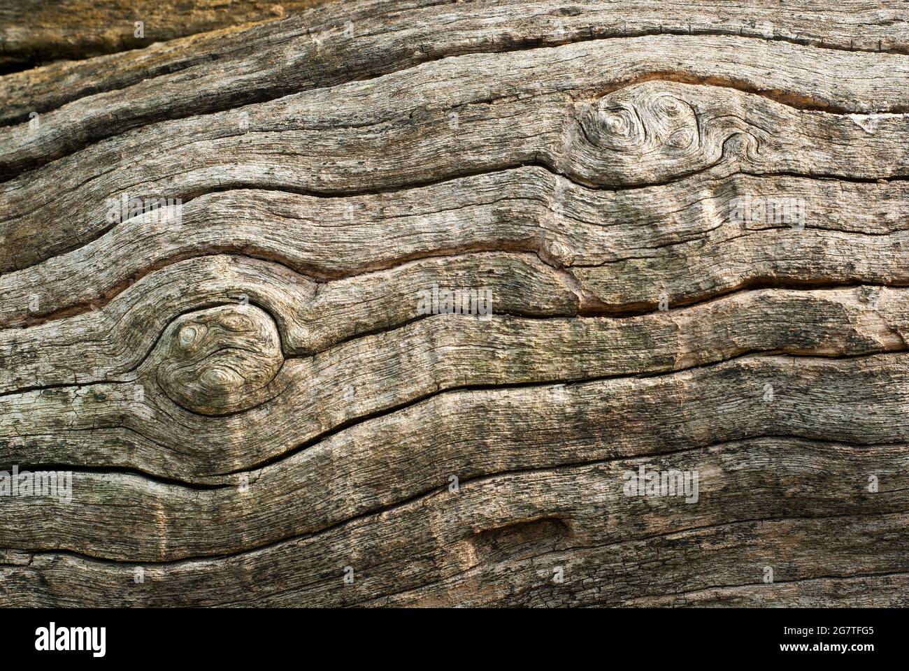 Timber for trenches hi-res stock photography and images - Alamy