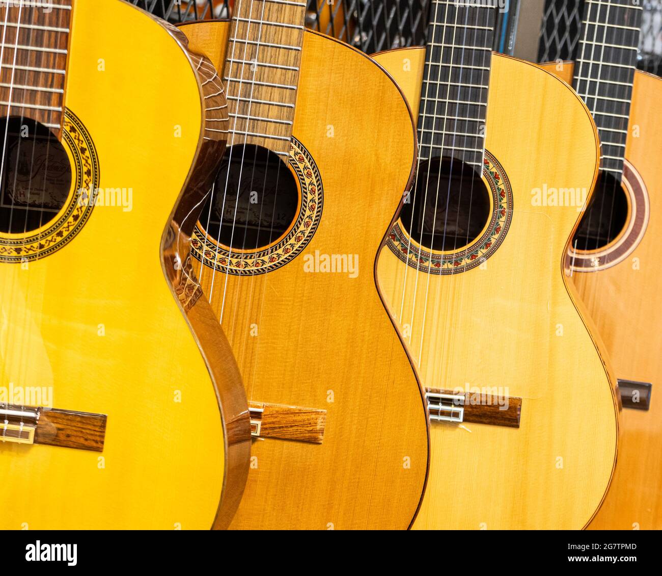 Row of acoustic guitars different color in a music instruments shop ...