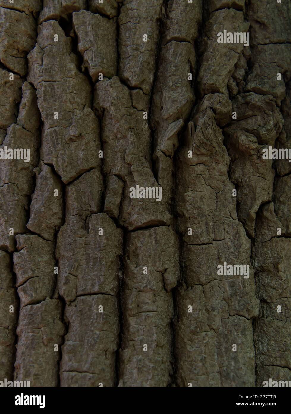 Lead texture hi-res stock photography and images - Alamy