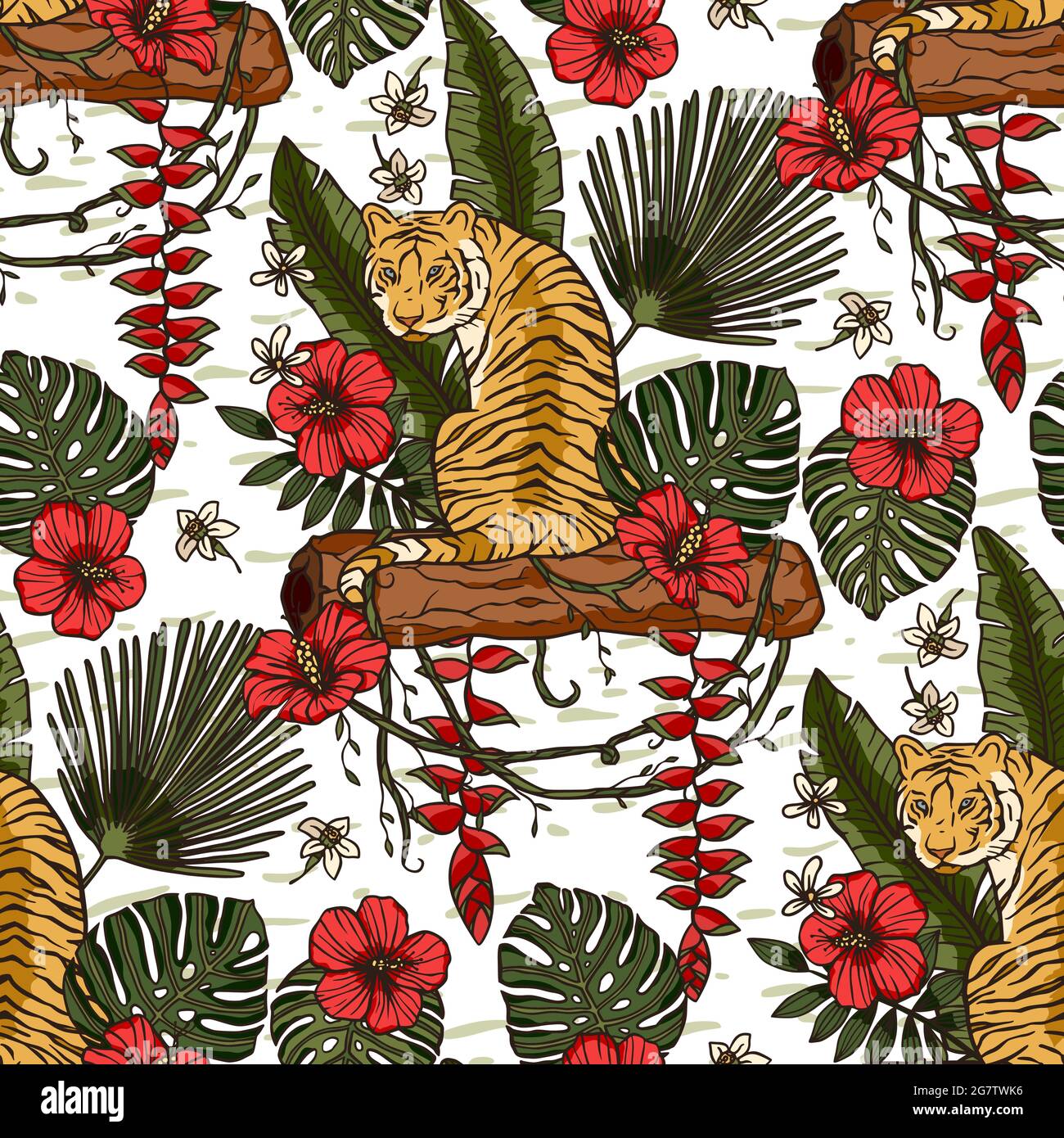 Rainforest vine Stock Vector Images - Alamy