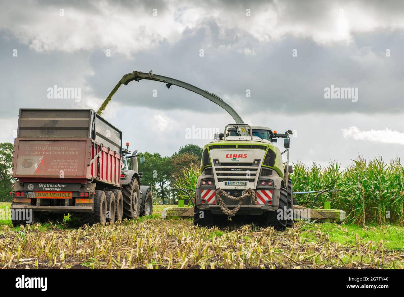 Tipping grain hi-res stock photography and images - Alamy
