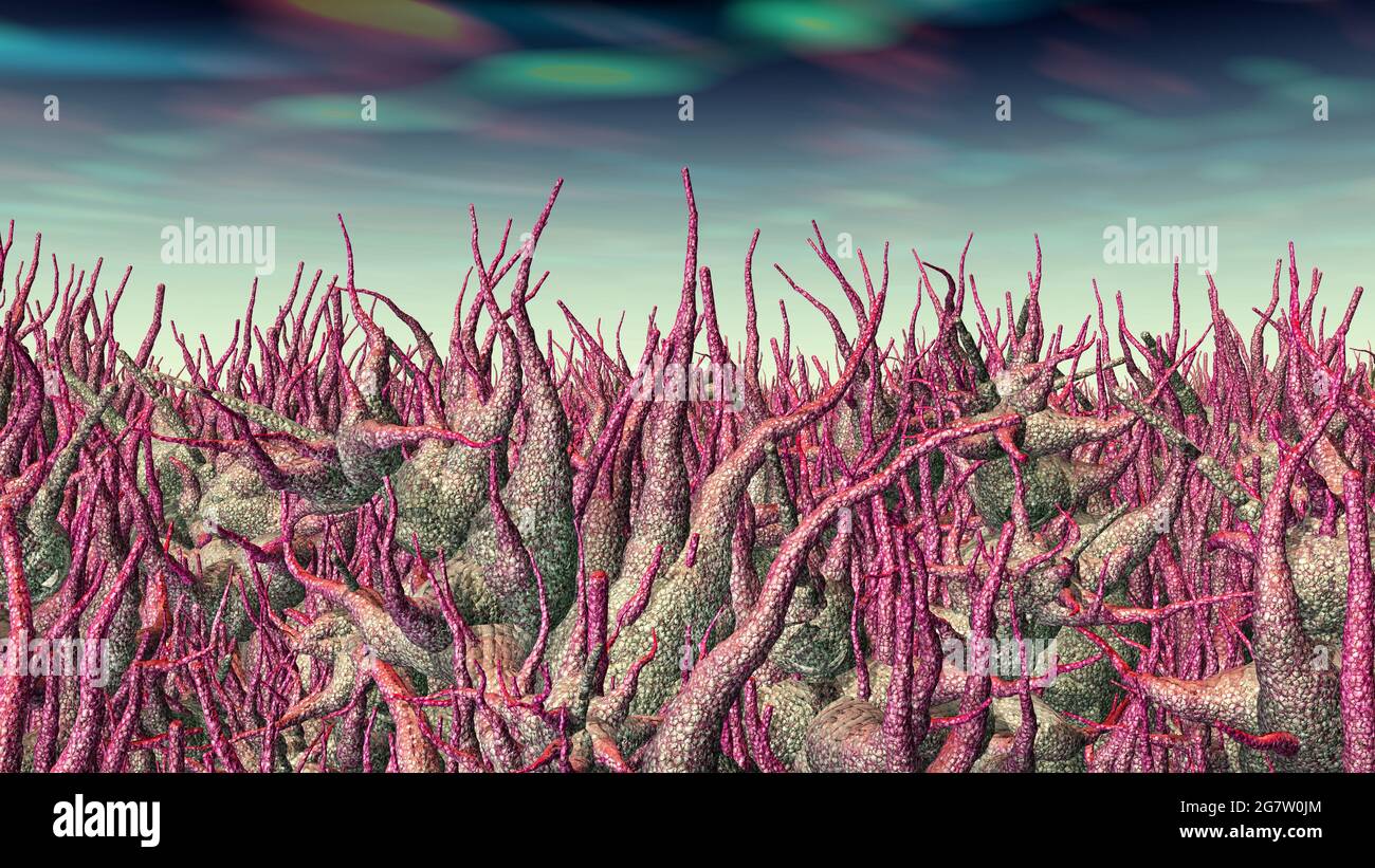 Alien planet with plants Stock Photo - Alamy