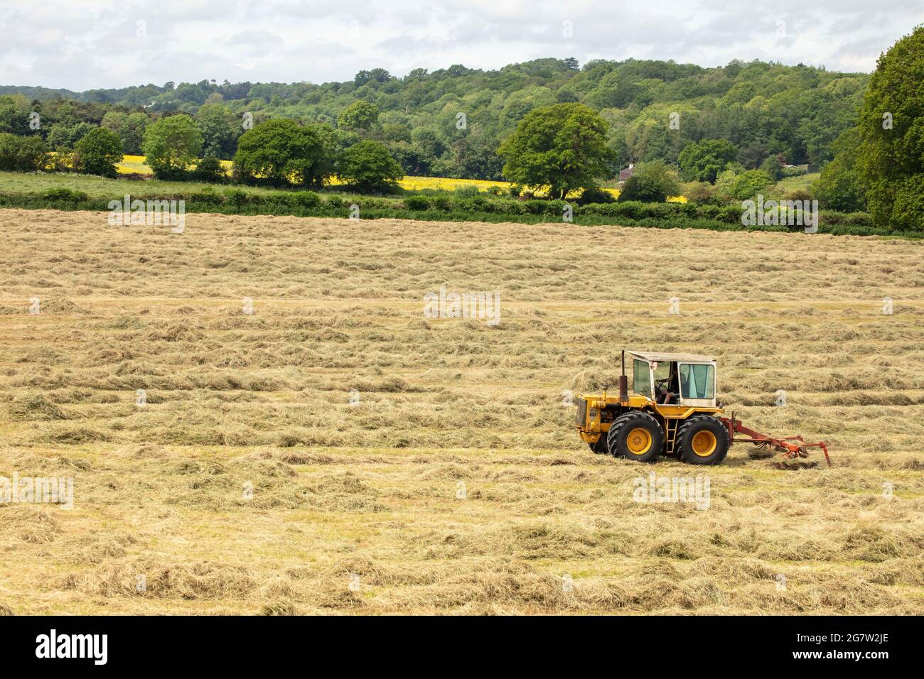 Haymaking with machines in a semi-urban farm, bright sunshine, blue sky ...