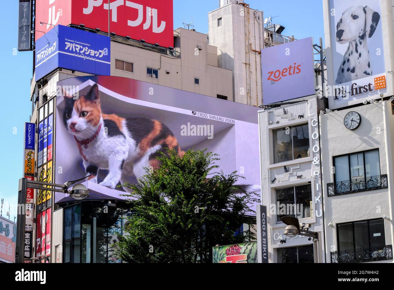 Tokyo, Japan. 16th July, 2021. A giant cat appears on Shinjuku's 3D ...