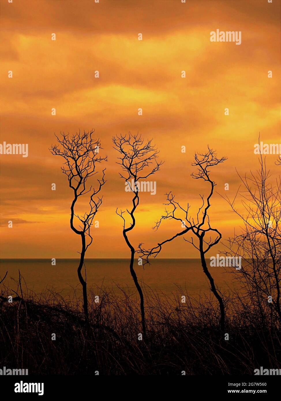 Photo edge of cliff hi-res stock photography and images - Alamy