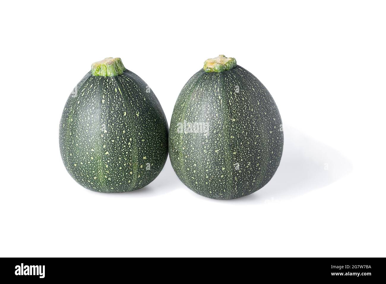 Two realistic looking globe or eight ball squash or zucchini or round ...