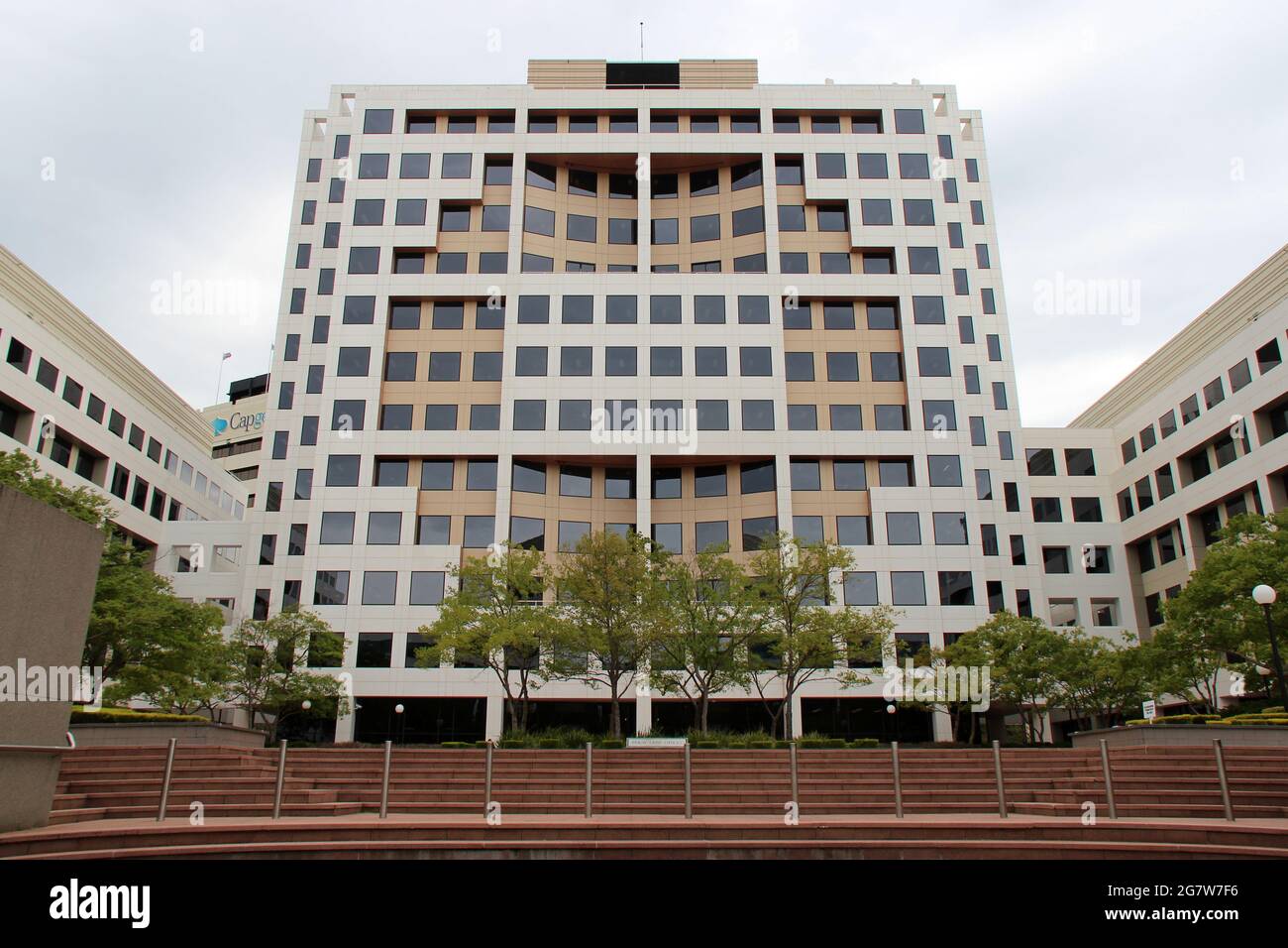 Arbre moderne hi-res stock photography and images - Alamy