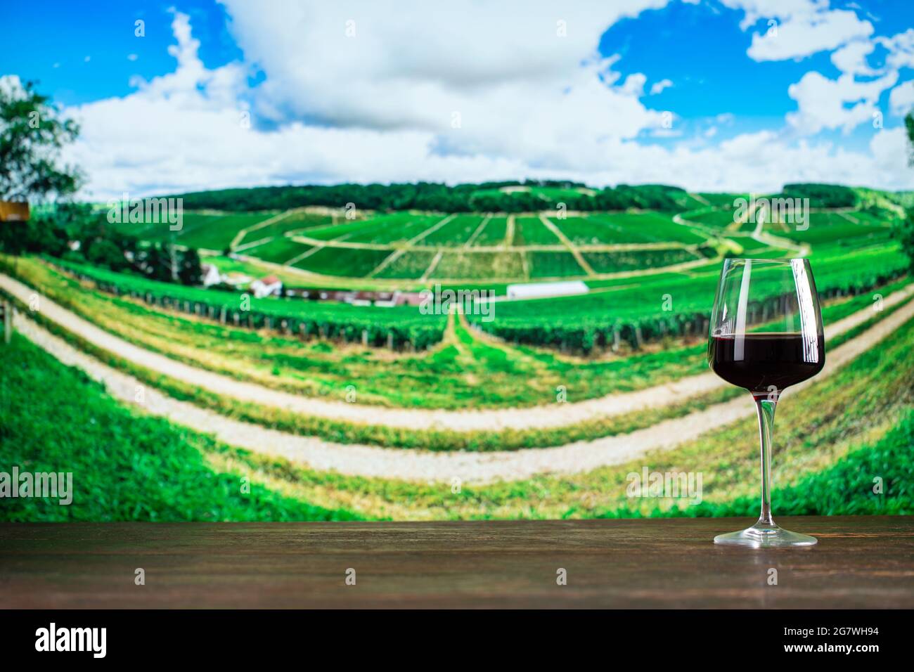 Glass of red wine on in the vineyard background. Winemaking concept ...