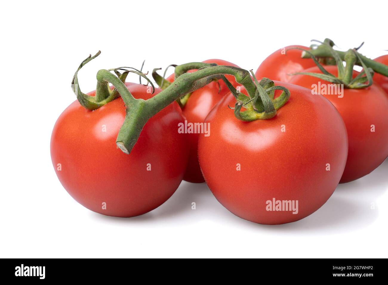 Realistic looking tomatoes isolated white background Stock Photo - Alamy