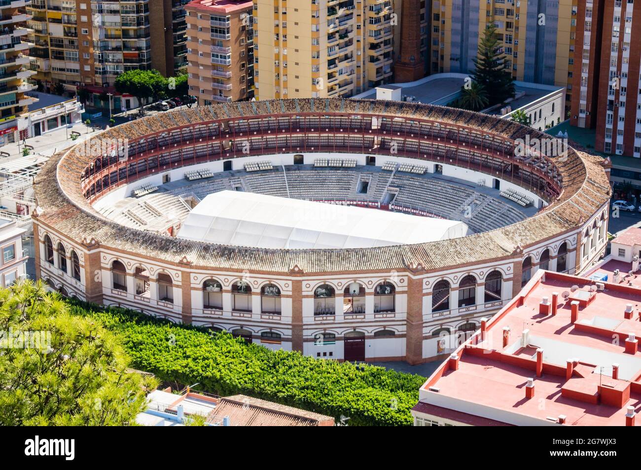 Bullfi hi-res stock photography and images - Alamy