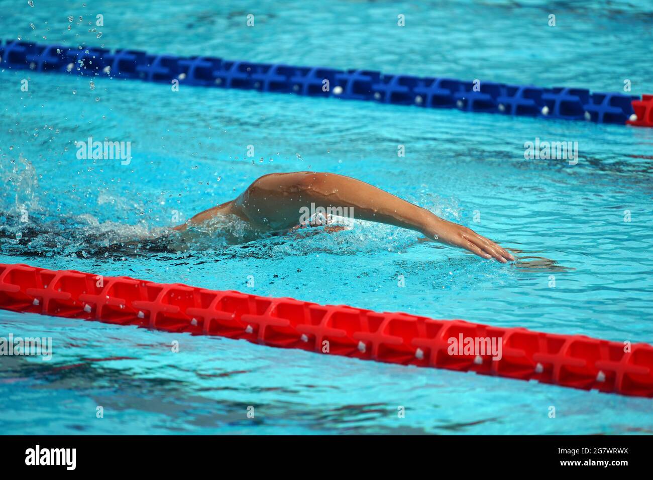 Young male swimming laps in a swimming pool Stock Photo - Alamy
